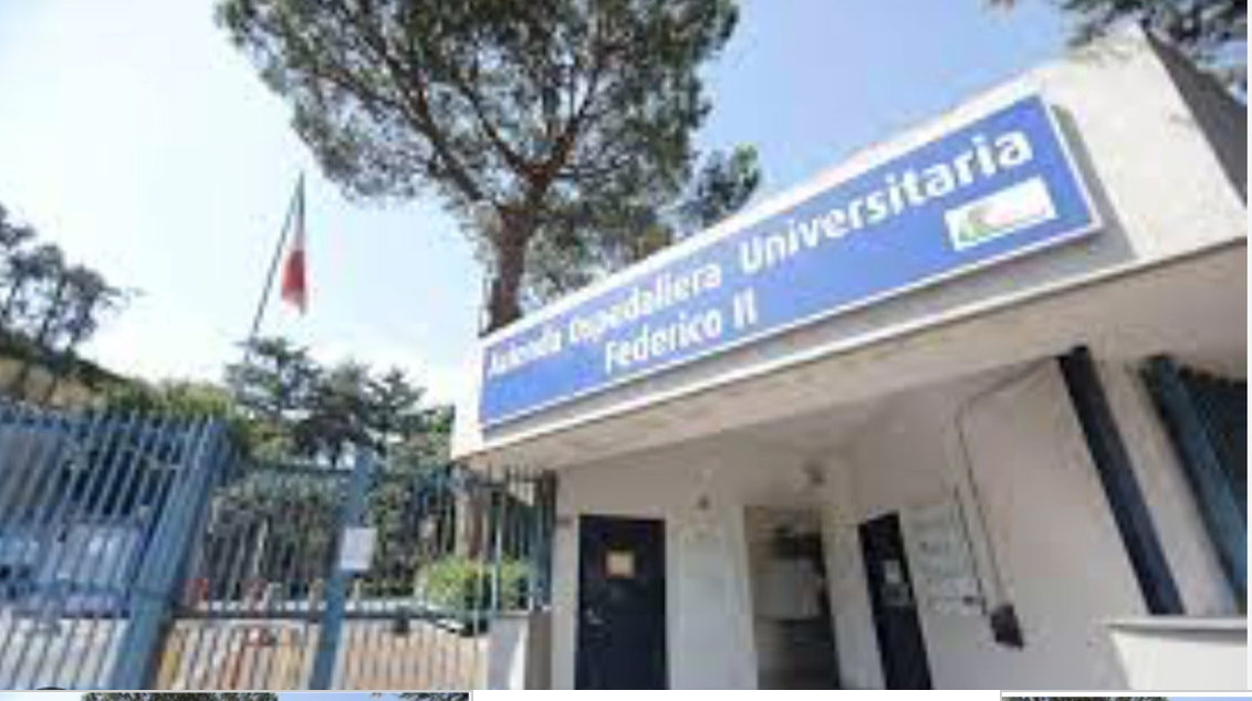 La Scuola Di Medicina E Chirurgia Dell’Università Federico II Di Napoli ...